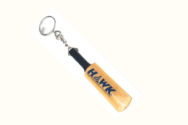 Cricket Accessories in India | Cricket Accessories Manufacturers ...